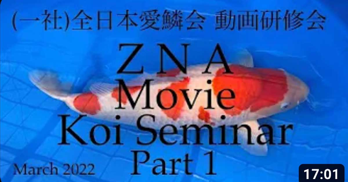 ZNA Movie Koi Seminar 2022 Part 1 | Zen Nippon Airinkai
