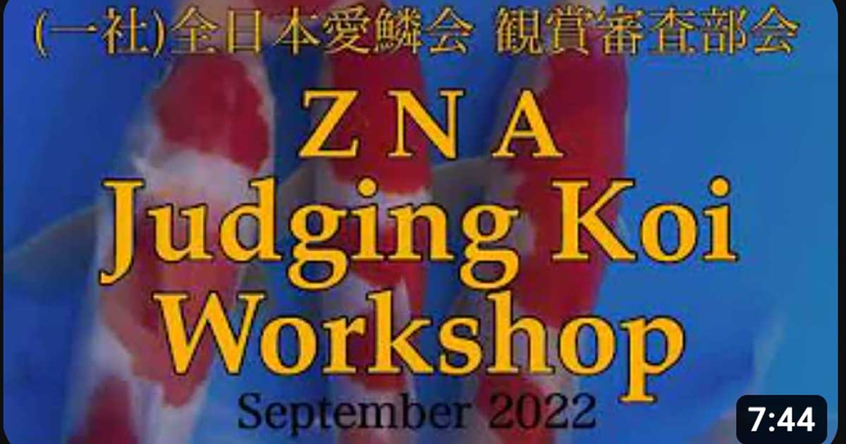 ZNA Judging Koi Workshop | Zen Nippon Airinkai
