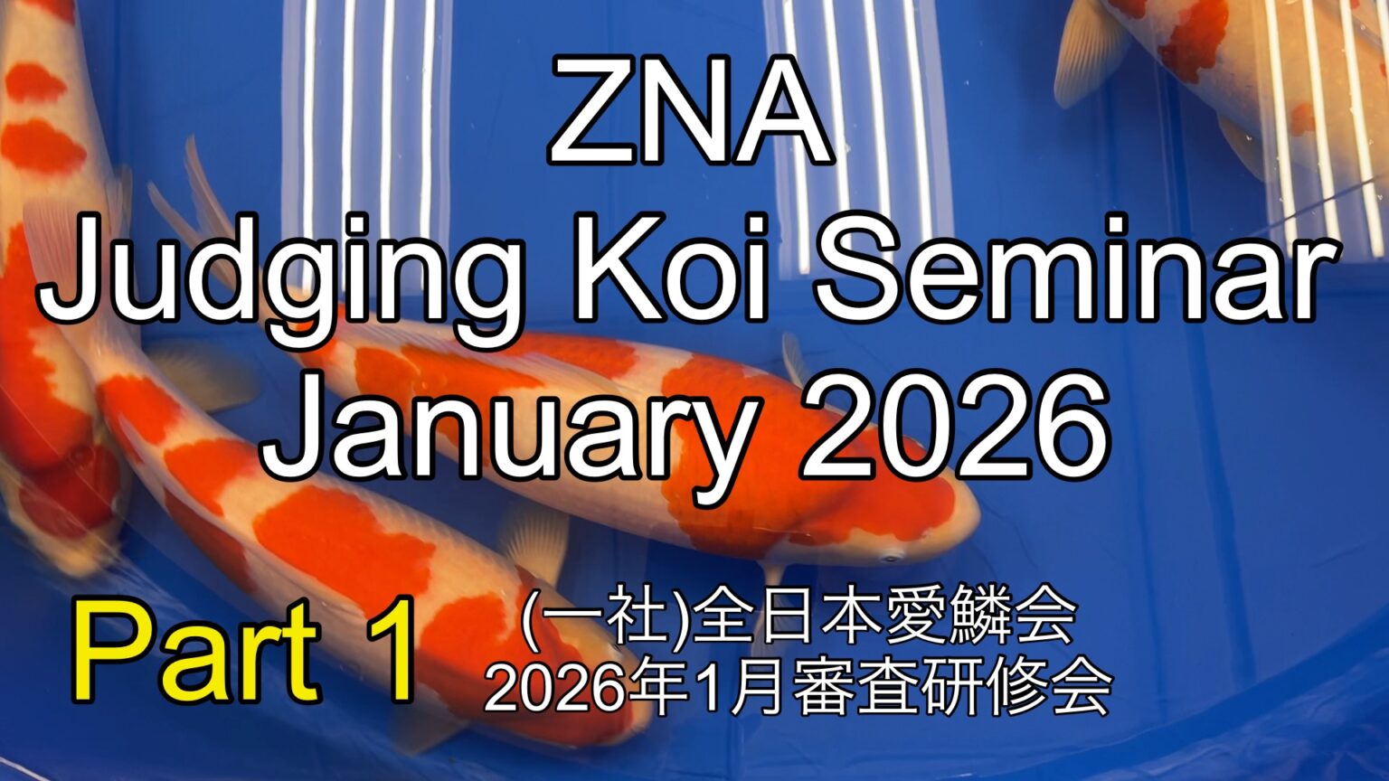 Zen Nippon Airinkai | for NISHIKIGOI fans